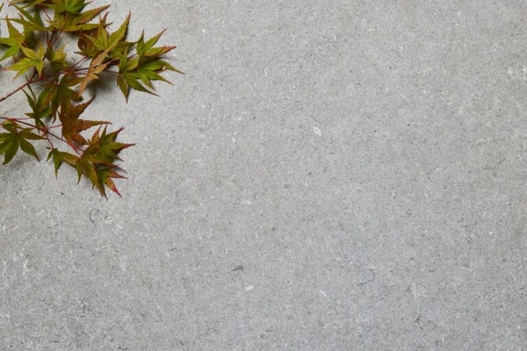 Limestone Pavers & Limestone Tiles | Better Exteriors